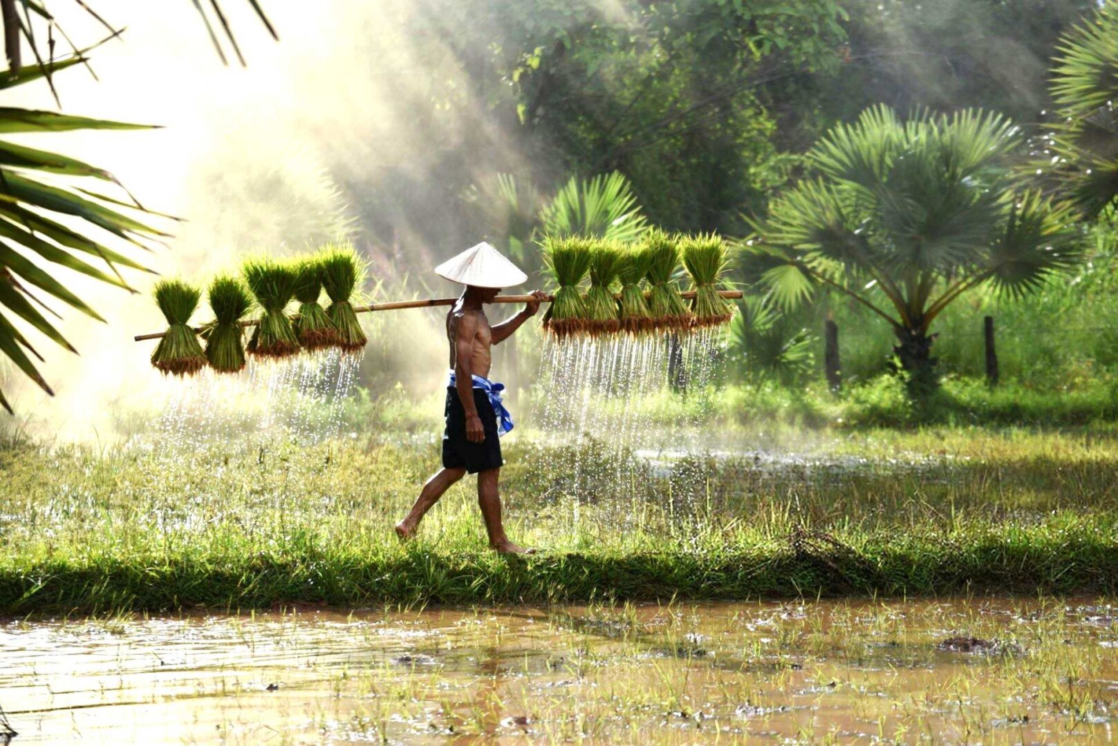 Is Vietnam Cheap? A 2025 Cost Breakdown for Travelers - Asian Link Travel