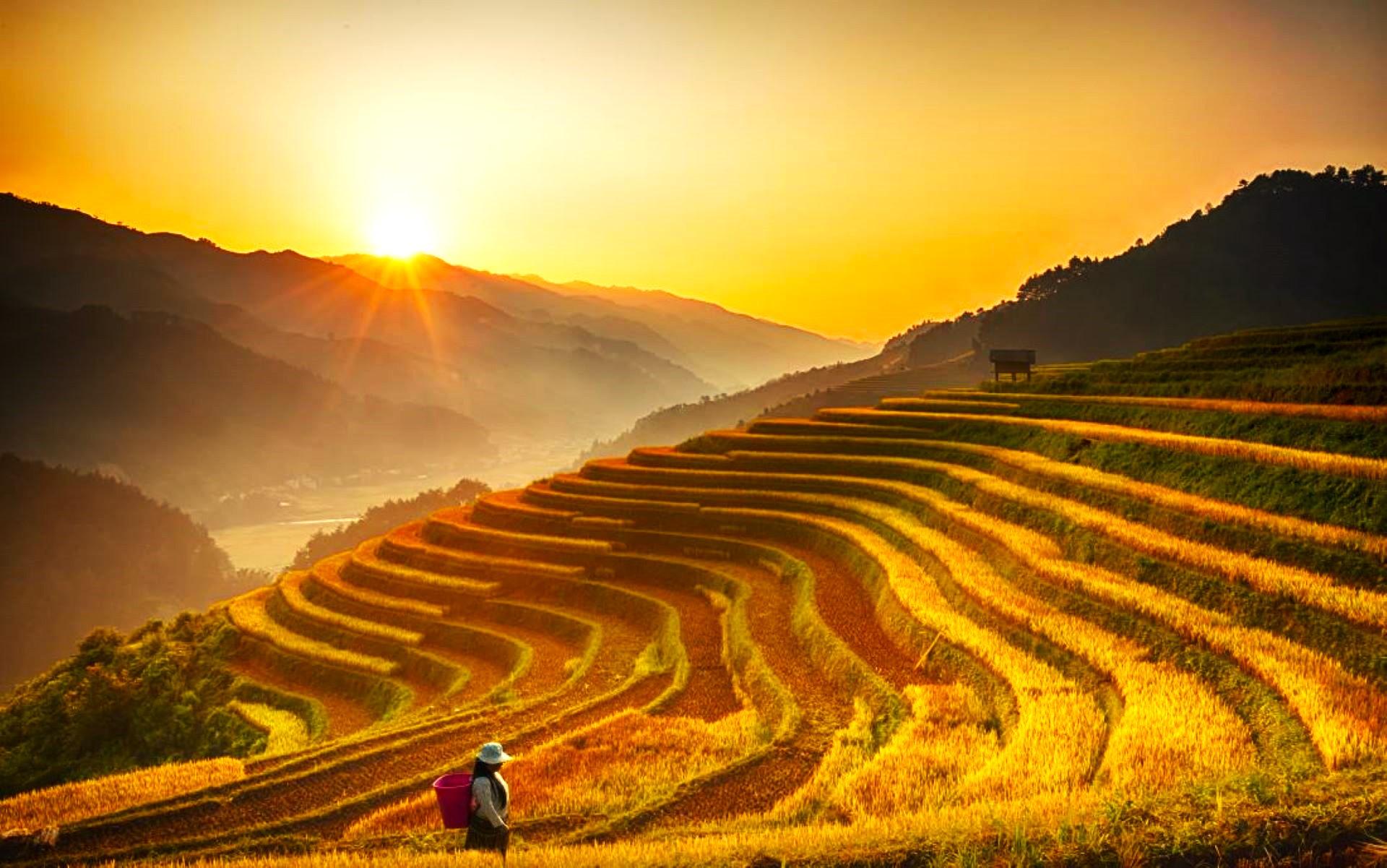 Sapa